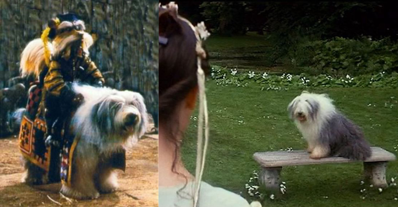 Labyrinth | Blackthorn & Stone