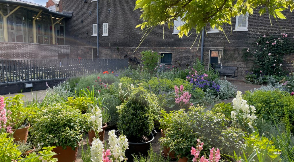 Women’s Weeds Audio Installation | Blackthorn & Stone